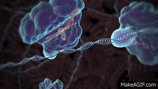 Genome Editing with CRISPR-Cas9 on Make a GIF
