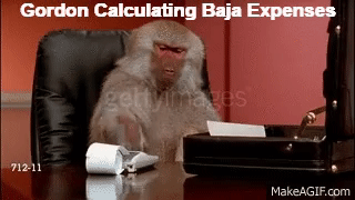 Baboon Calculator on Make a GIF
