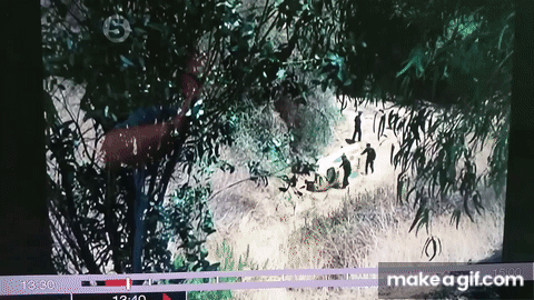 Columbo falls down a hill on Make a GIF