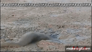 Girl playing in mud | jumping in mud on Make a GIF