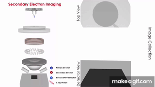 Scanning Electron Microscopy (SEM): animation of 3 types of imaging on ...