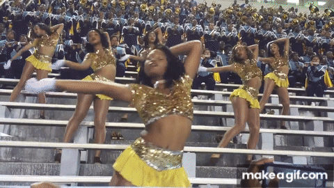 Southern University Dancing Dolls "He Loves Me" 2015-2016 on Make a GIF