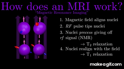 How MRI Works - Part 1 - NMR Basics on Make a GIF