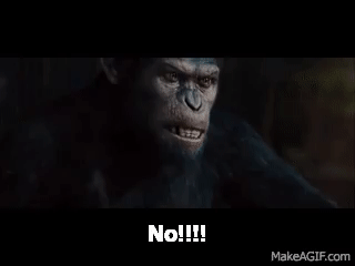 César dice NO. on Make a GIF