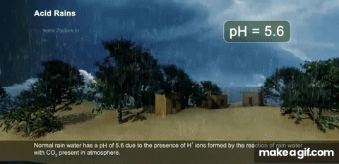 Acid Rain on Make a GIF