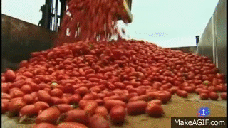 Tomatina 2013 - España a Ras De Cielo on Make a GIF