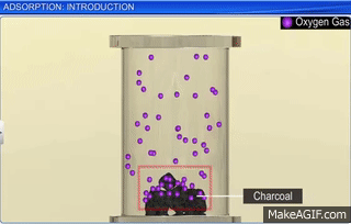 CBSE Class 12 Chemistry, Surface Chemistry – 1, Adsorption ...