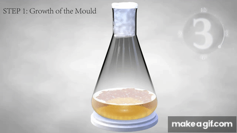 Penicillin production animation on Make a GIF
