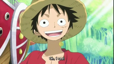 One Piece "so he's a shipwright who's coating frankie's brother" HD on ...