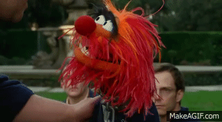 Animal Rejoins The Muppets at Anger Managment: "In Control ..." on Make ...