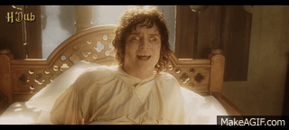 FRODO & GANDALF RETARDED on Make a GIF