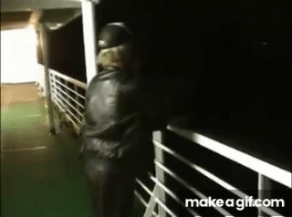 Torsk på Tallinn - Best of Lasse Kongo on Make a GIF