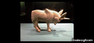 Animal Media 377 on Make a GIF