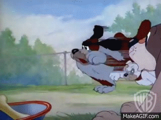 Tom And Jerry Greatest Chases Volume 5