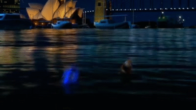 YouTube Poop: DeepFrying Nemo on Make a GIF