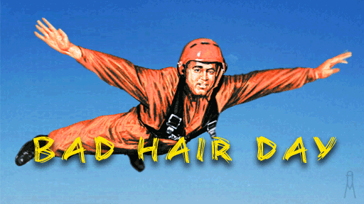Bad Hair Day On Make A
