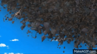 Fujitora vs Luffy Gravity Blade Raging Tiger One Piece 743 on Make a GIF