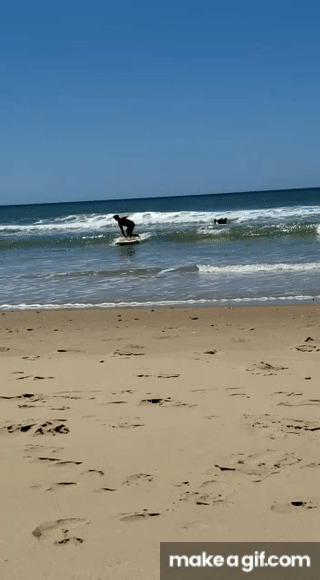 N8z2mg is an Animated GIF Image on Make a GIF