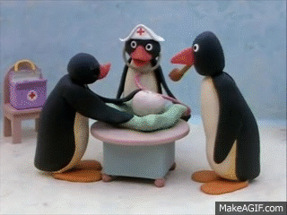Pingu Pinga Is Born on Make a GIF