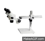 Stereo Microscopes on Make a GIF