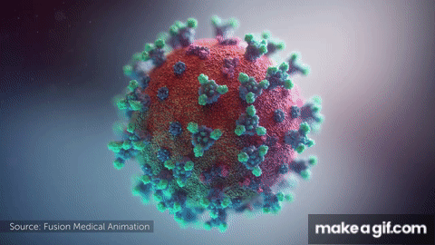 3D Animation Of COVID-19 (Coronavirus) on Make a GIF