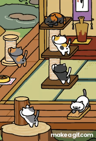 cat on Make a GIF