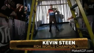 KEVIN STEEN VS EL GENERICO LADDER WAR (FINAL ROH MATCH) on Make a GIF