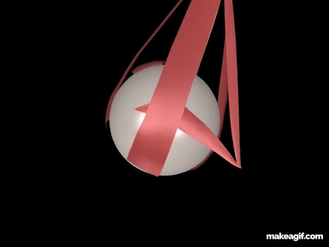 Actions of the ocular muscles on Make a GIF