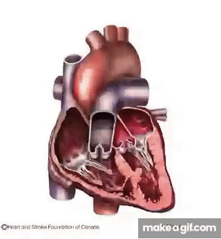 Regular heartbeat on Make a GIF