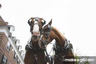 weekly-gif on Make a GIF