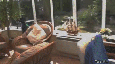Top 35 Extraordinary Human Powers & Abilities on Make a GIF
