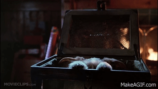 Gremlins (1/6) Movie CLIP - Billy Meets Gizmo (1984) HD on Make a GIF