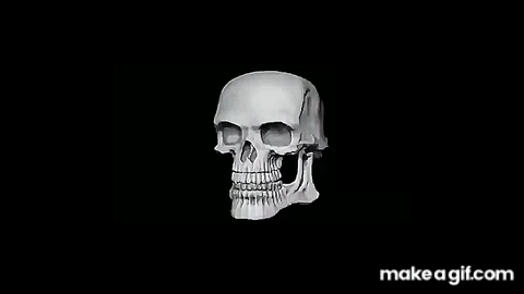 Caveira - BAD TO THE BONE (meme base) on Make a GIF