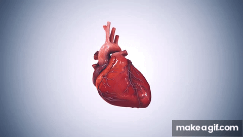 HeartWorks Augmented Reality on Make a GIF