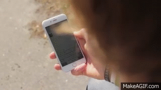 Fox Typing on Make a GIF