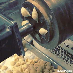 Shells on Make a GIF