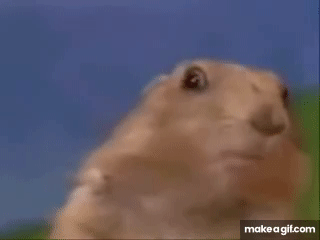 Marmota dramatica on Make a GIF