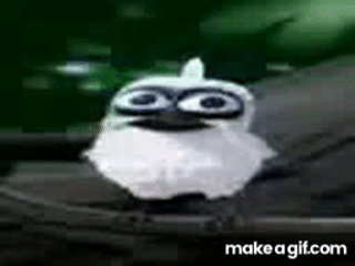 Laughing bird meme on Make a GIF
