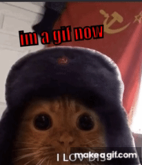 SOVIET CAT on Make a GIF