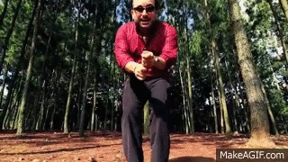 Joseph Fonseca - El Caballito De Palo on Make a GIF