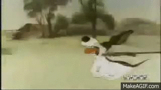 End of rope on Make a GIF