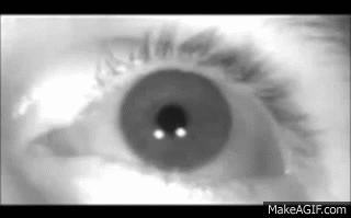 Eye movements - Blink and Saccades at 600 frames per second on Make a GIF