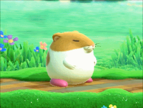 Trottings Ricks Idle Animations From Kirby Star Allies On Make A