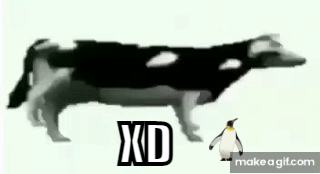 Gif Animado De Vaca Dancando