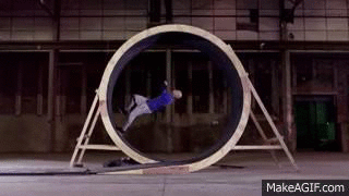 The Human Loop on Make a GIF