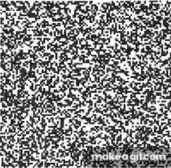 Stereogram Julesz on Make a GIF