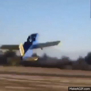Squirrel commits 9/11 funny vine/short video on Make a GIF