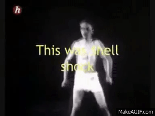 Shell Shock Surfin' Bird remastered on Make a GIF