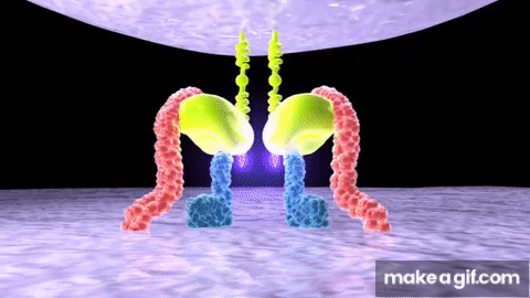 HIV life cycle: How HIV infects a cell and replicates itself using ...