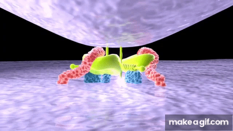 HIV life cycle: How HIV infects a cell and replicates itself using ...